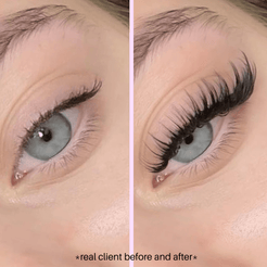 Wispy Volume – Cluster Lash Club